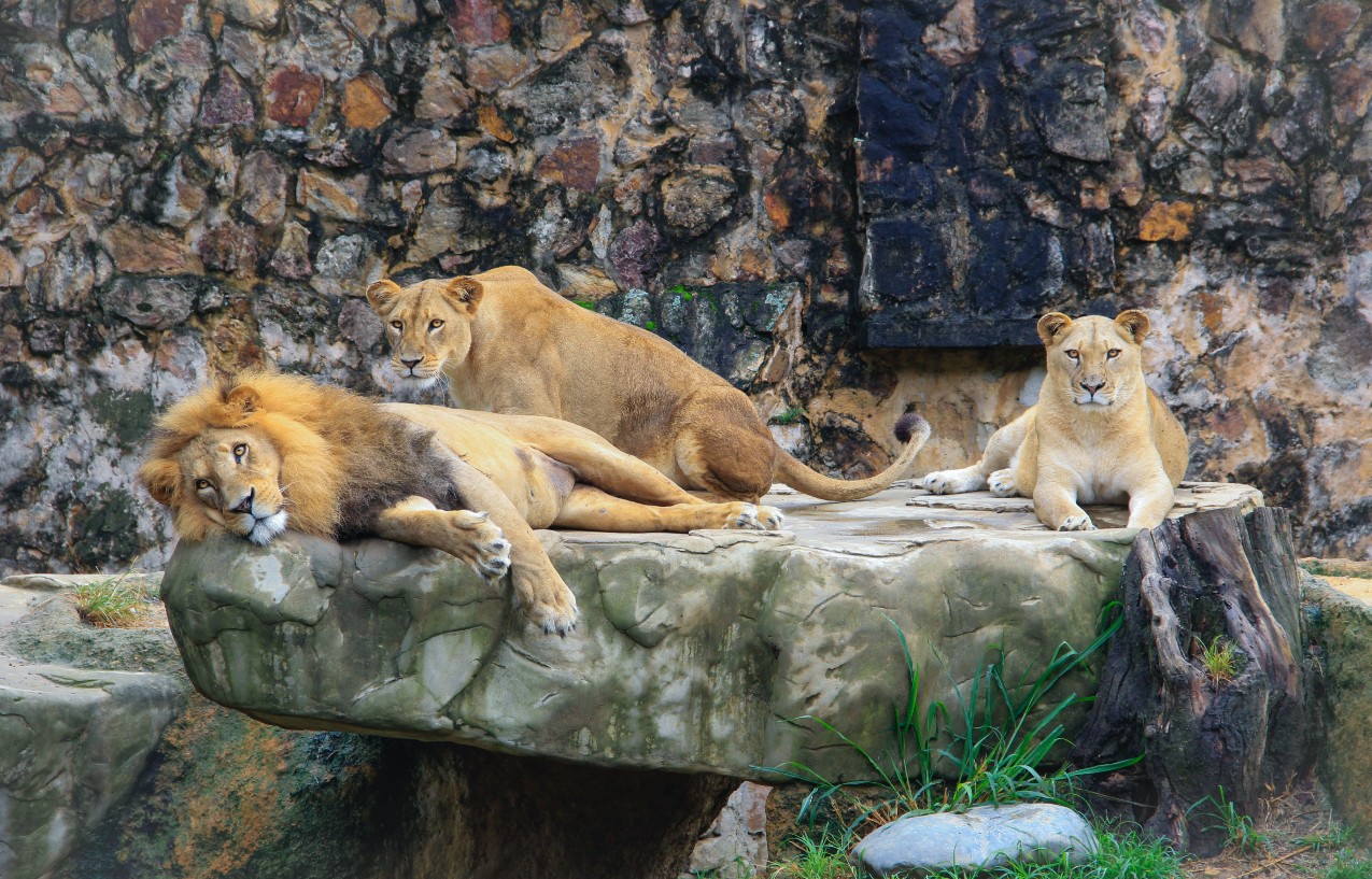 Indian Prairie Public Library - Home - Indian Prairie Public Library